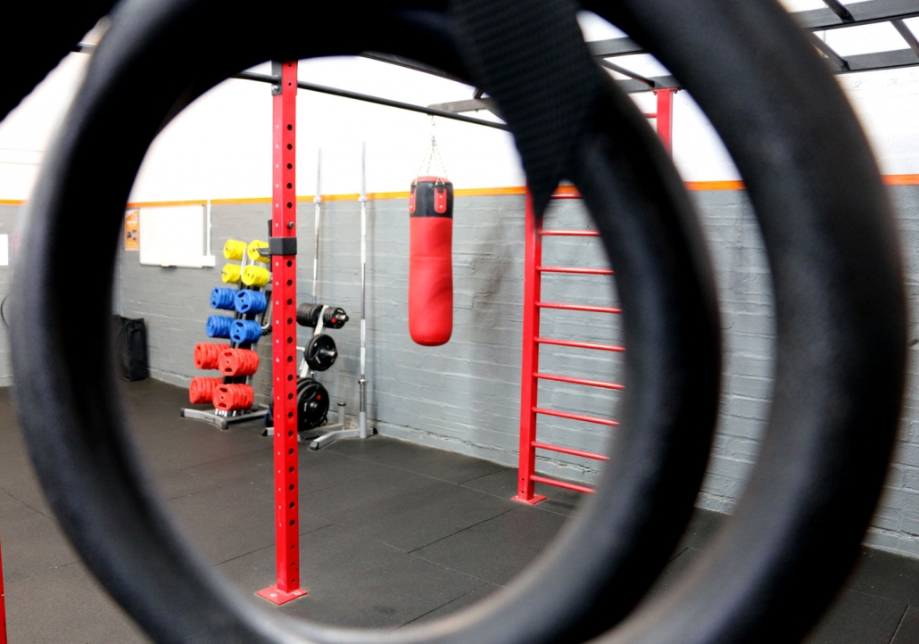 About – Alive Fitness